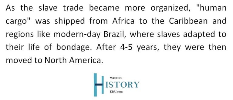 Slavery in America: A Brief Look At How Slavery Started - World History Edu