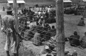 Mau Mau Rebellion: History, Major Causes & Effects - World History Edu