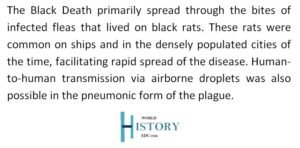 Medieval Medicines used during the Black Death - World History Edu