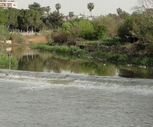 The Battle of Kadesh - World History Edu