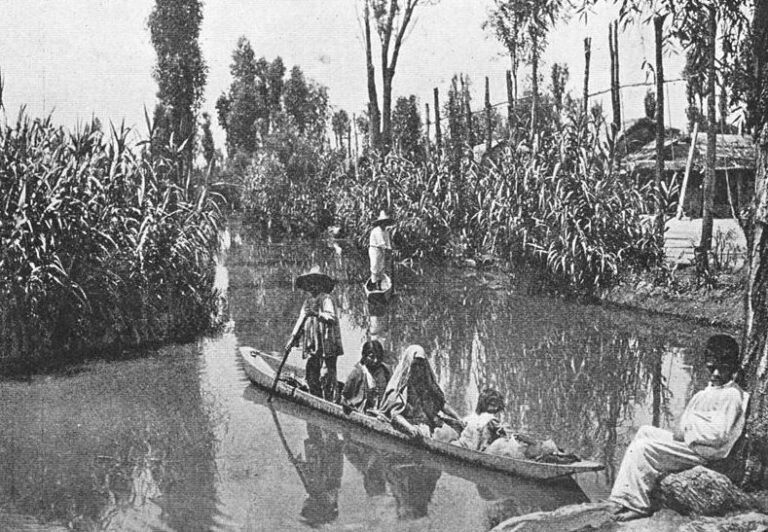 Food & Agriculture in the Aztec Empire - World History Edu