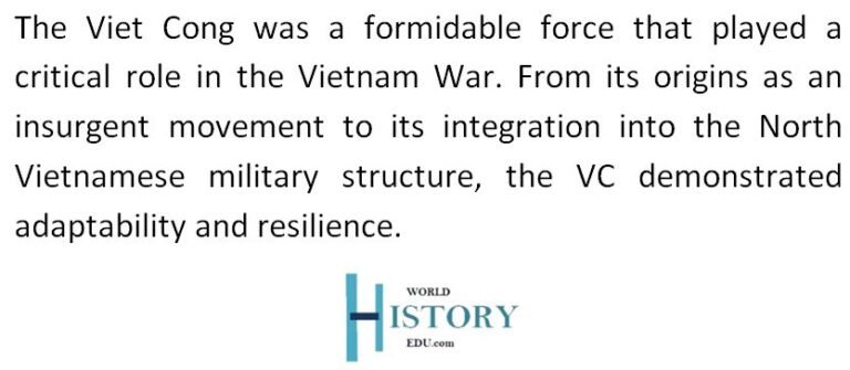 Viet Cong: Origins, Military Tactics and Strategies - World History Edu