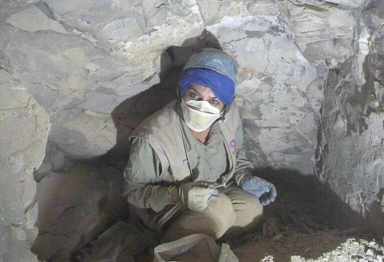 Who are the most pioneering figures in Egyptology? - World History Edu